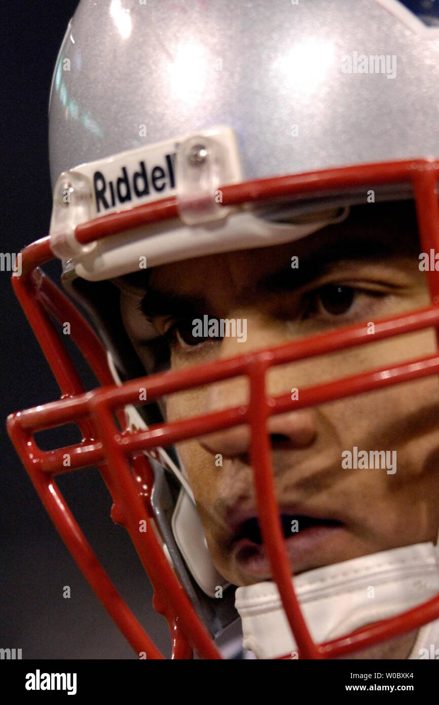 Tedy bruschi hi-res stock photography and images - Alamy