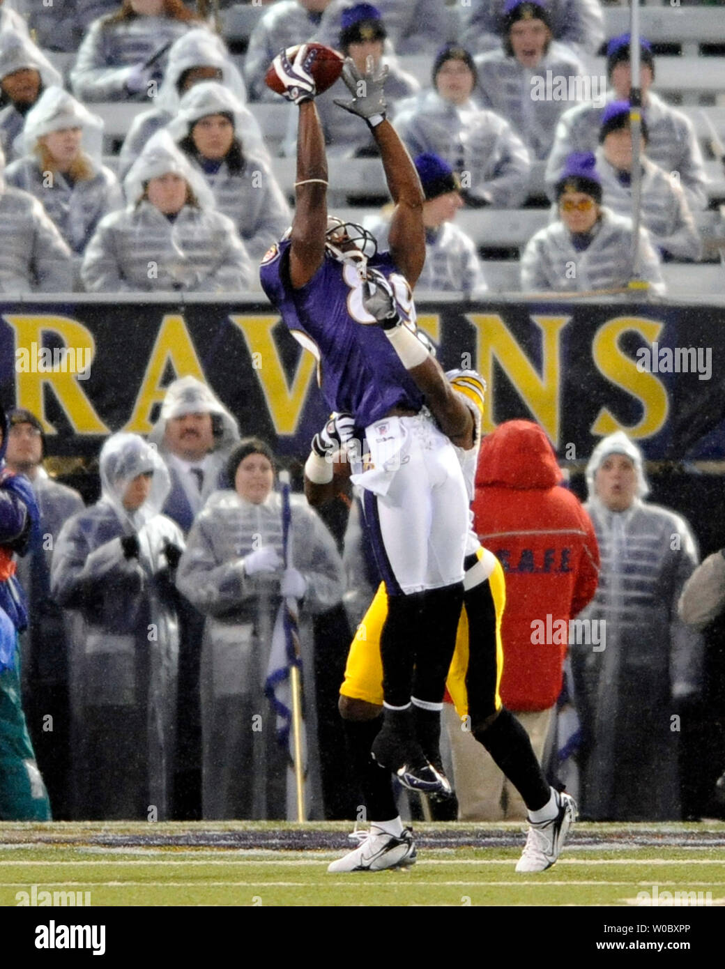Ravens in rain hi-res stock photography and images - Alamy