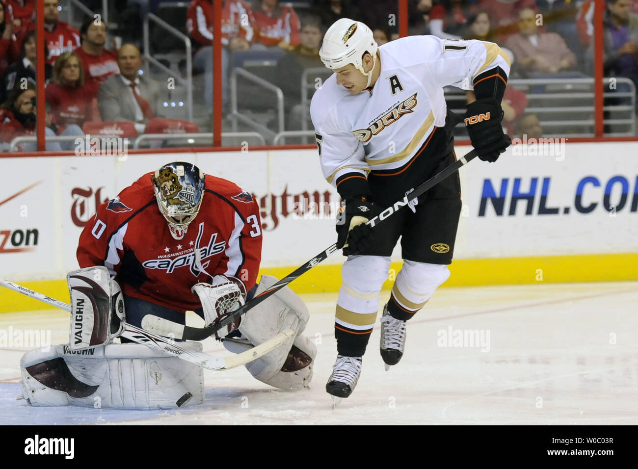 Neuvirth ducks hi-res stock photography and images - Alamy