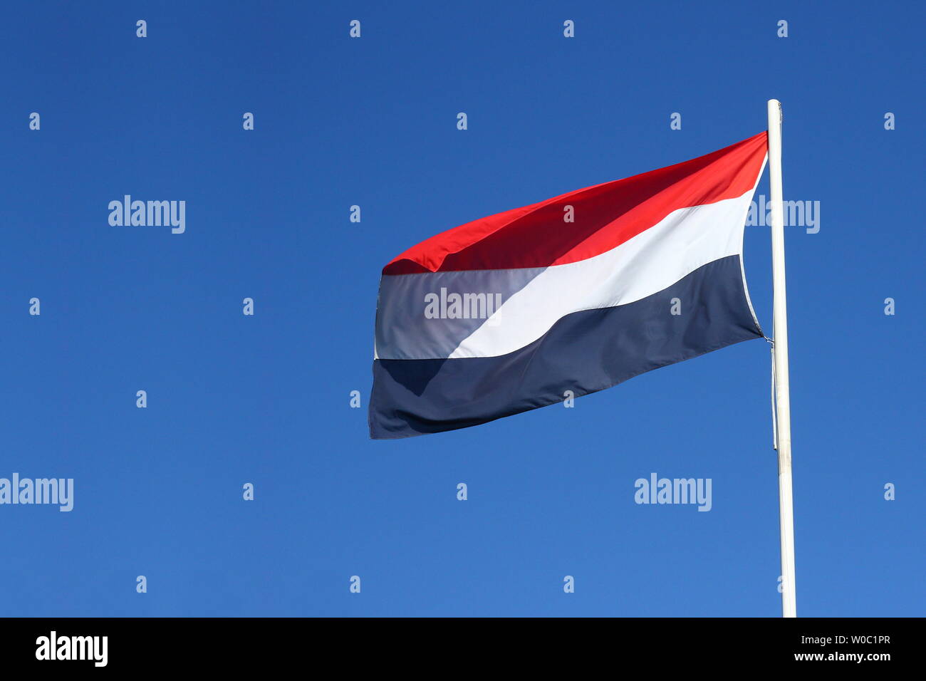 Dutch flag waving in the wind at a sunny day with a clear blue sky ...