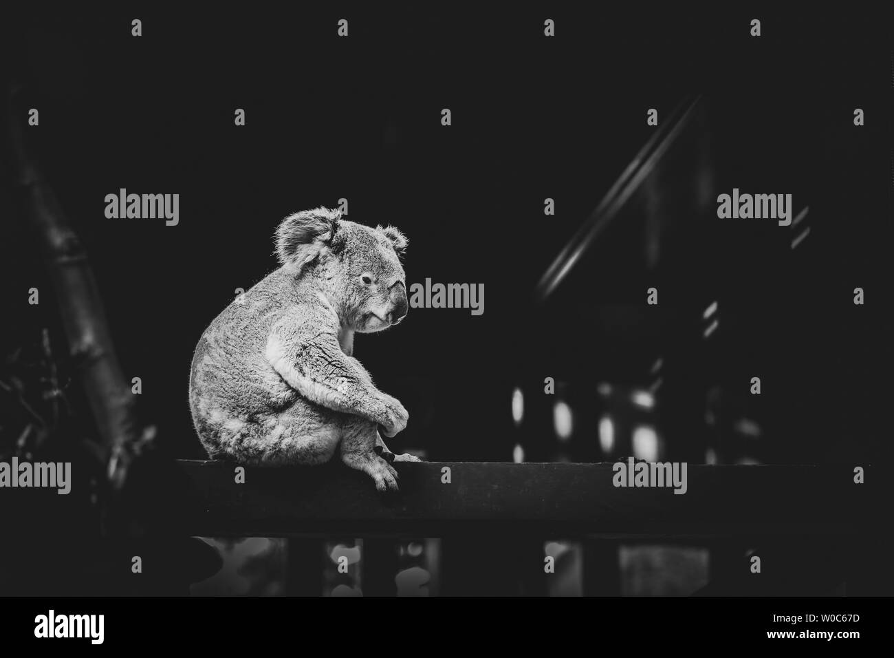 Eye of harmony Black and White Stock Photos & Images - Alamy