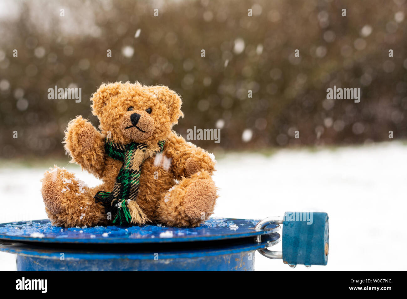 Plush teddy bear on blue lid with blue lock in snowy landscape with ...