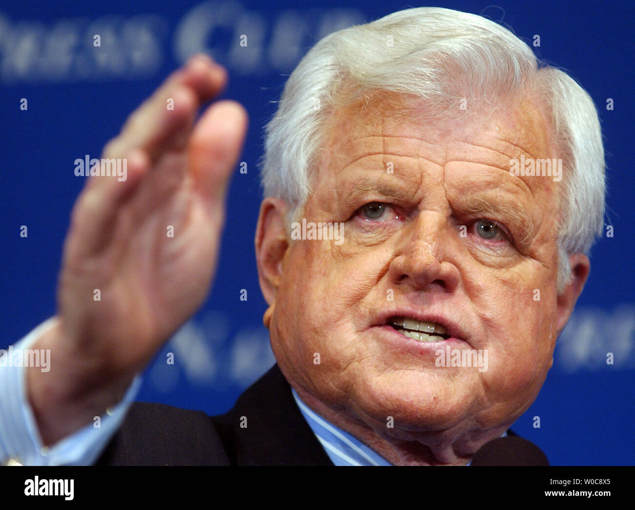 Felt bush hi-res stock photography and images - Alamy