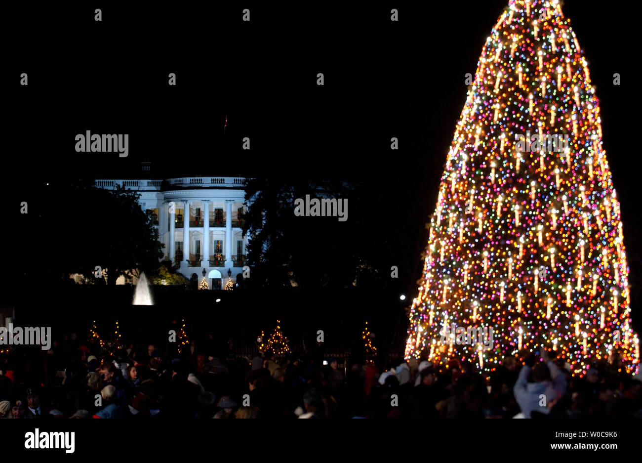 The 80th annual National Christmas Tree is lit in front of the White ...