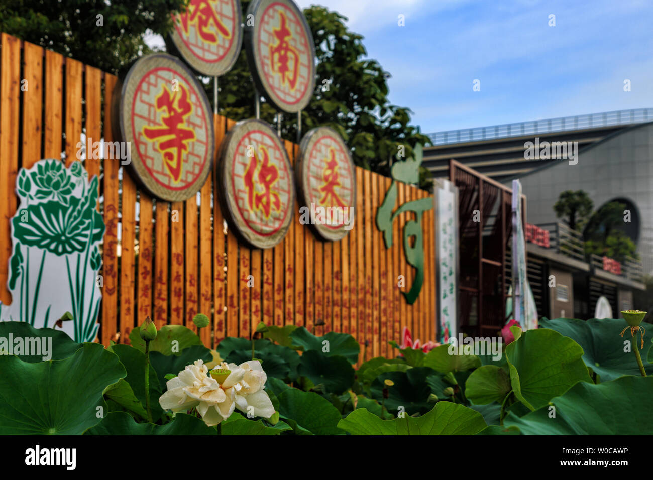Outdoors in summer. No one has traditional tourist trees trees leaves ...