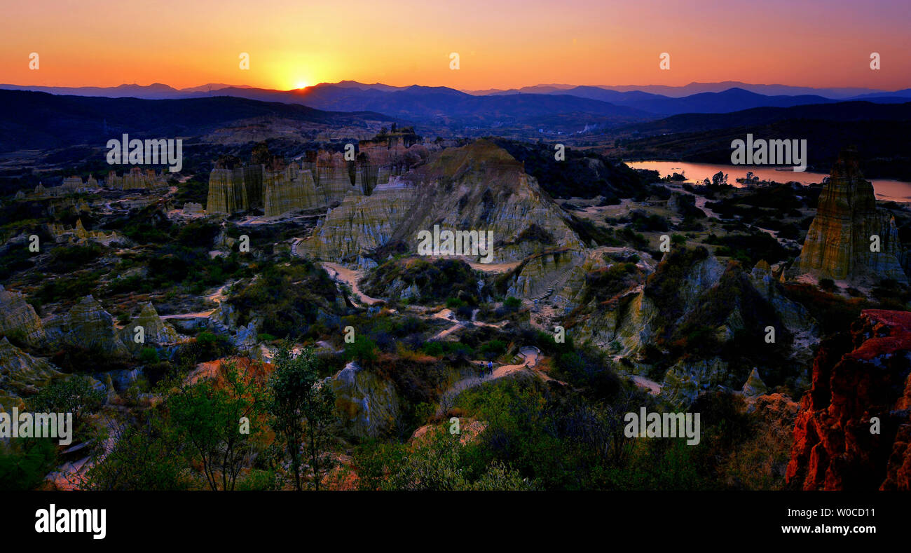Tulin hi-res stock photography and images - Alamy
