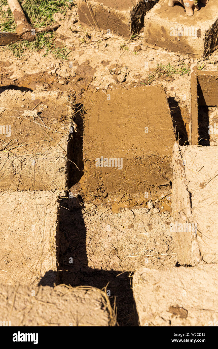 Making adobe mud blocks for building houses, Pisac, Sacred Valley, Peru ...