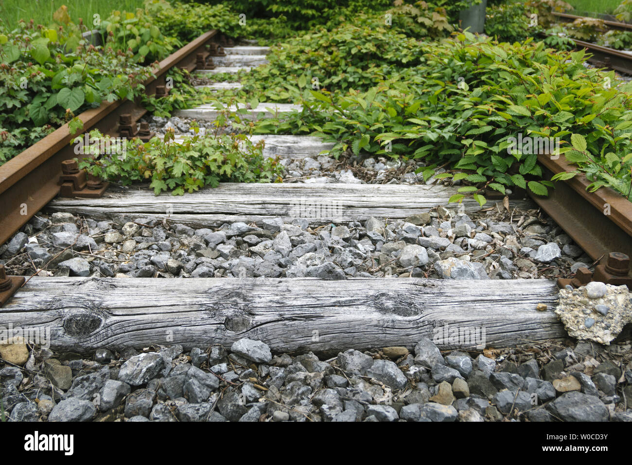Overgrown railway line in Munich, Germany Stock Photo - Alamy