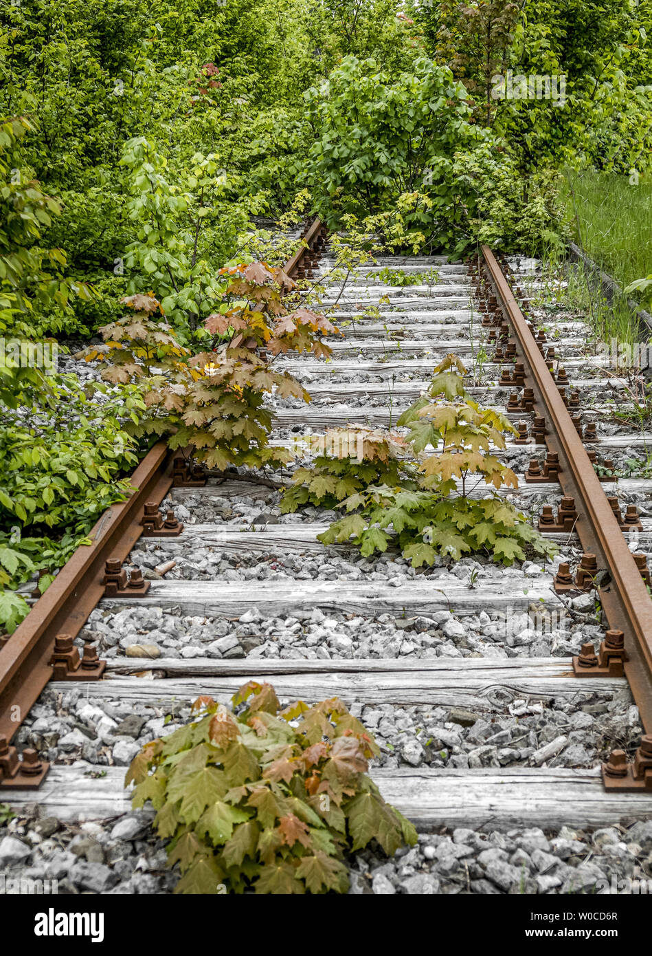 Overgrown railway line hi-res stock photography and images - Alamy
