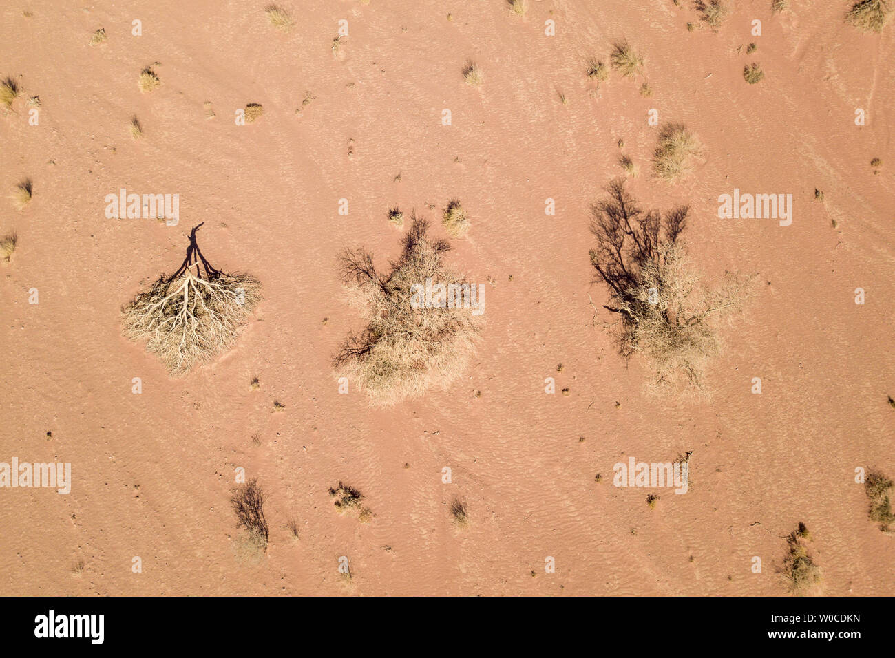Desert ground hi-res stock photography and images - Alamy