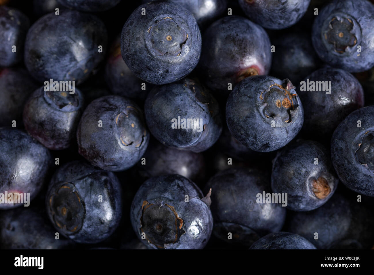 A pile of blueberries. A filled frame. Close up Stock Photo - Alamy
