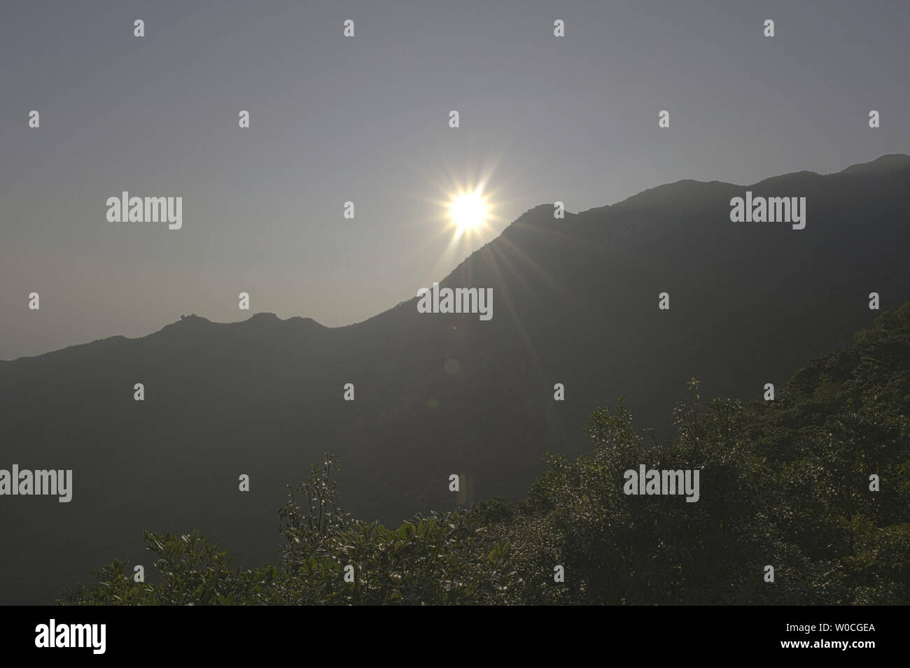 Luofu hi-res stock photography and images - Alamy