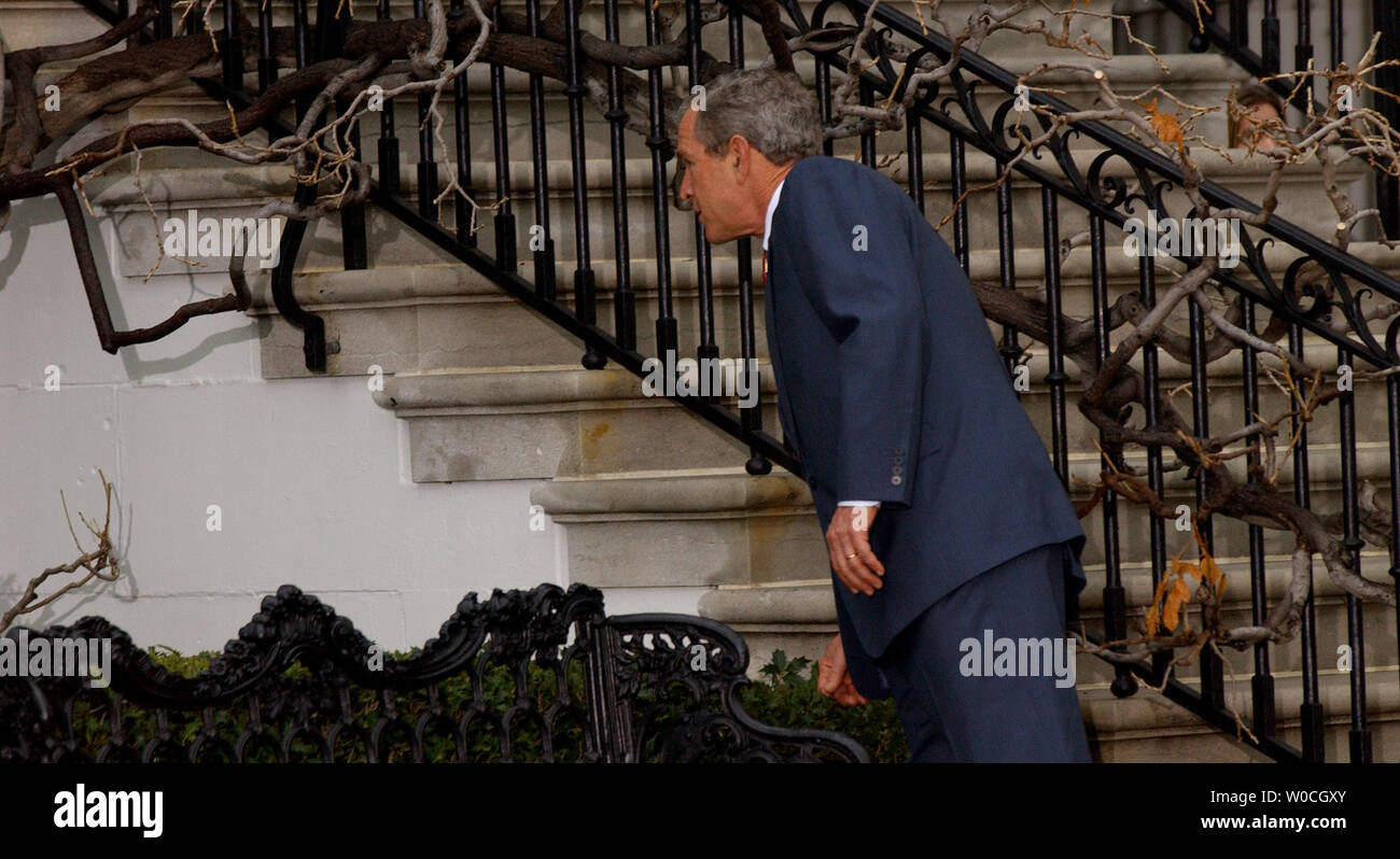 U.S. President George W. Bush looks for his Scottish terrier puppy Miss ...