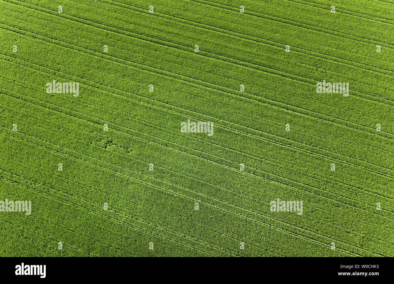 Green field from above, Bavaria, Germany Stock Photo - Alamy