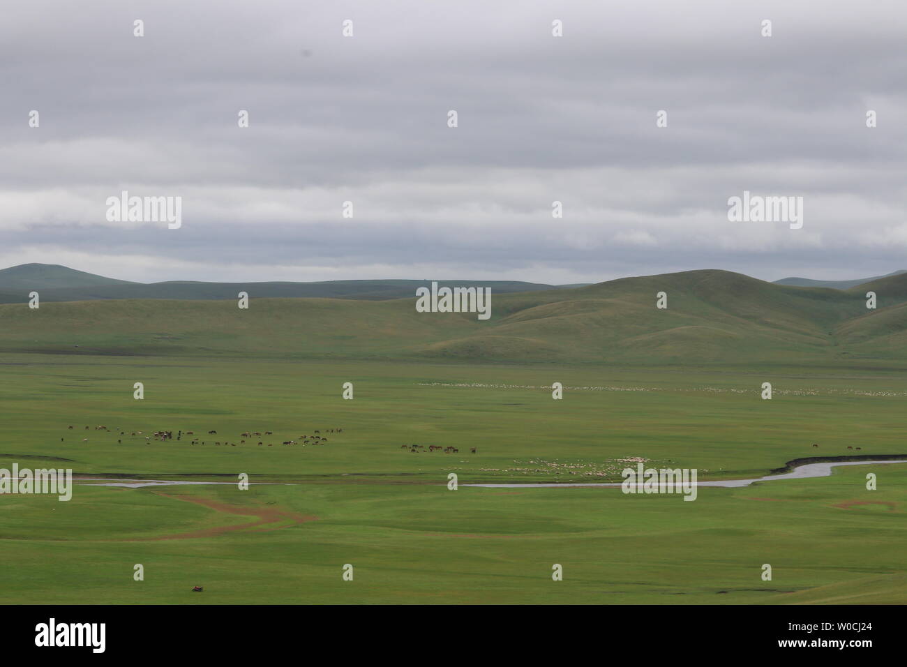 Erguna river erguna river wetland hi-res stock photography and images ...
