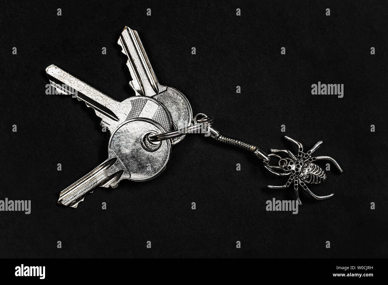 A three keys with a spider-shaped pendant on a black background Stock ...