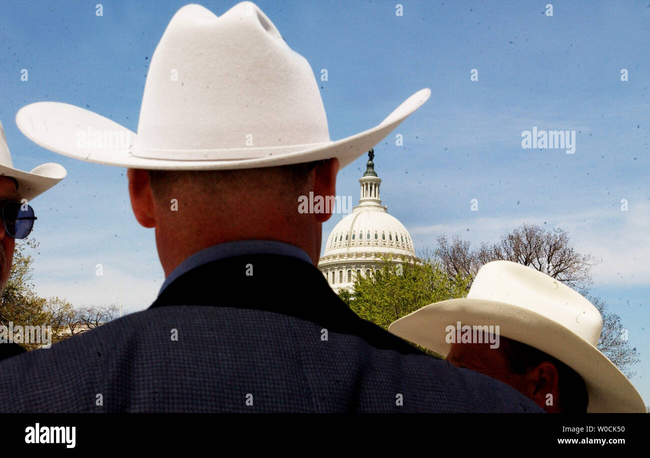 Deborah pryce hi-res stock photography and images - Alamy