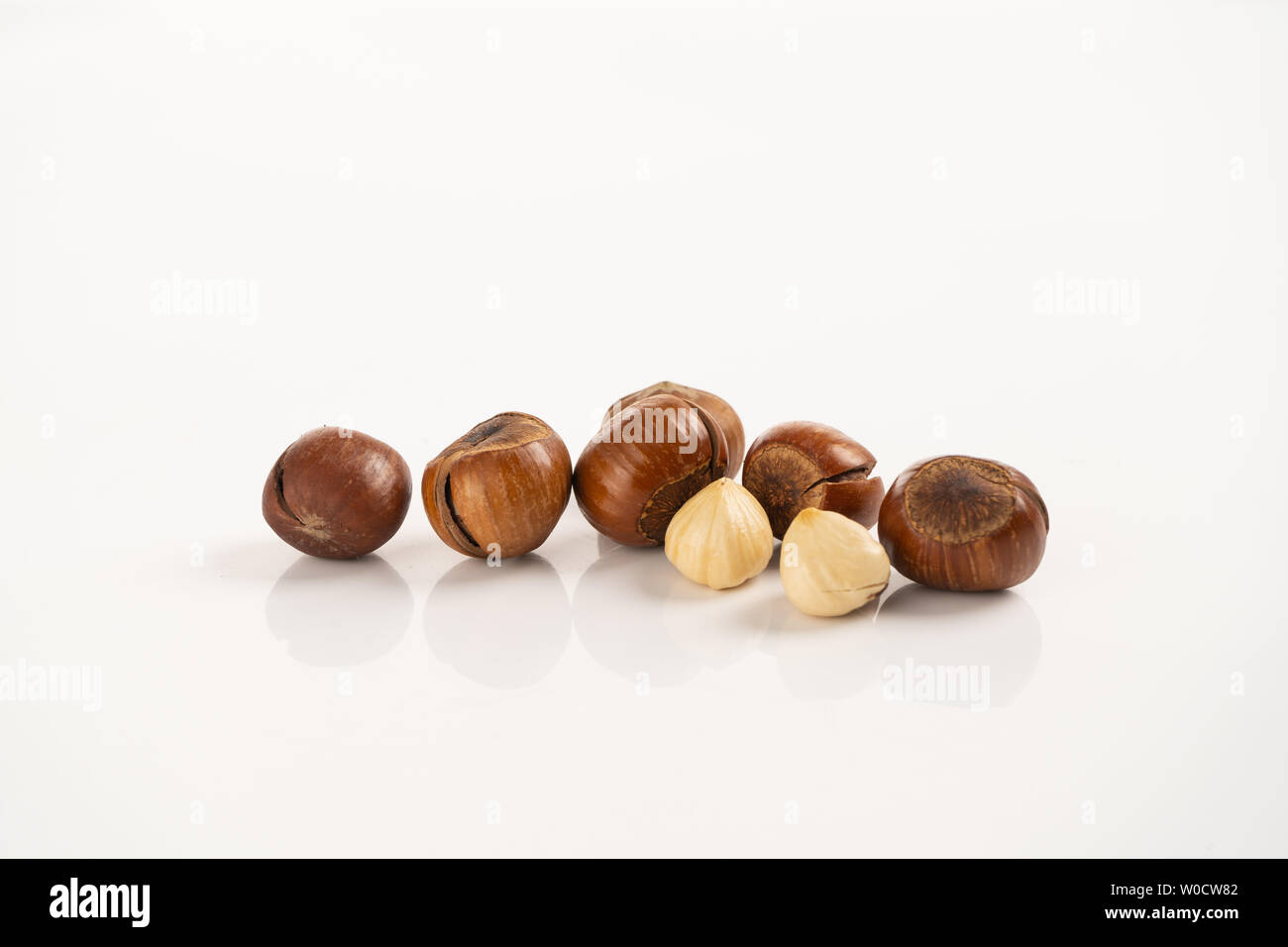 Northeast characteristic open hazelnut Stock Photo - Alamy