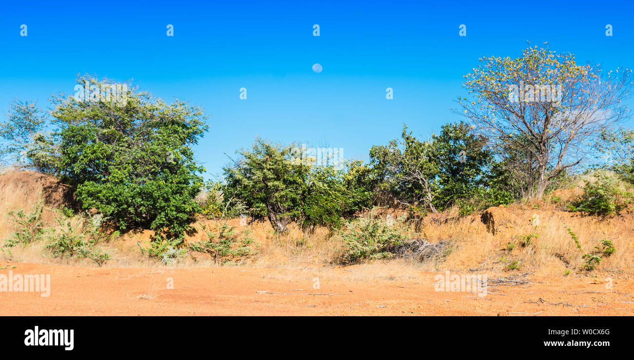 Semi cerrado hi-res stock photography and images - Alamy