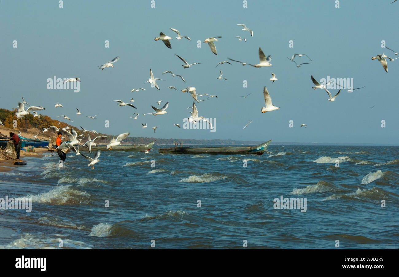 Xingkai lake reserve hi-res stock photography and images - Alamy