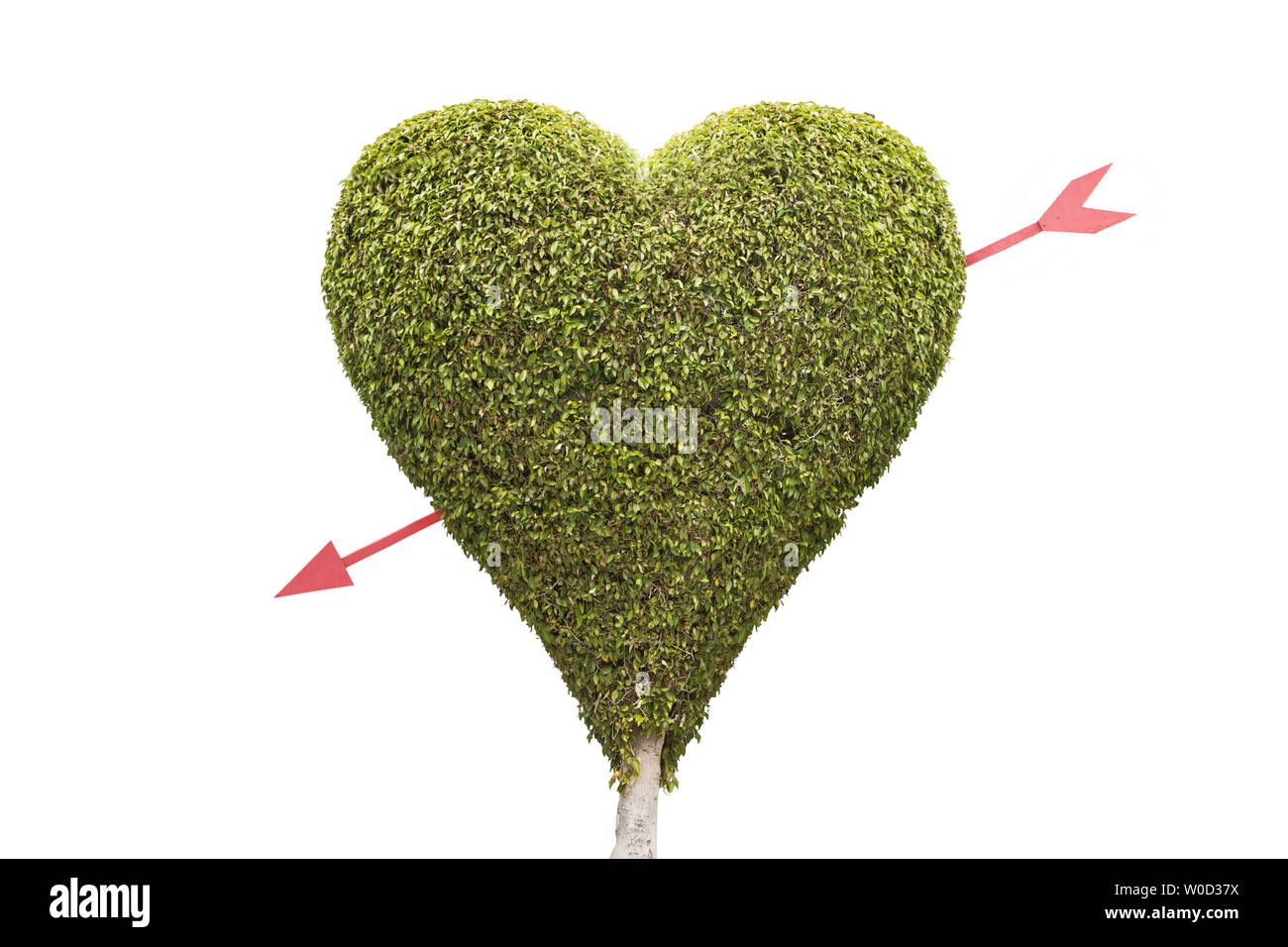 Topiary bush heart hi-res stock photography and images - Alamy