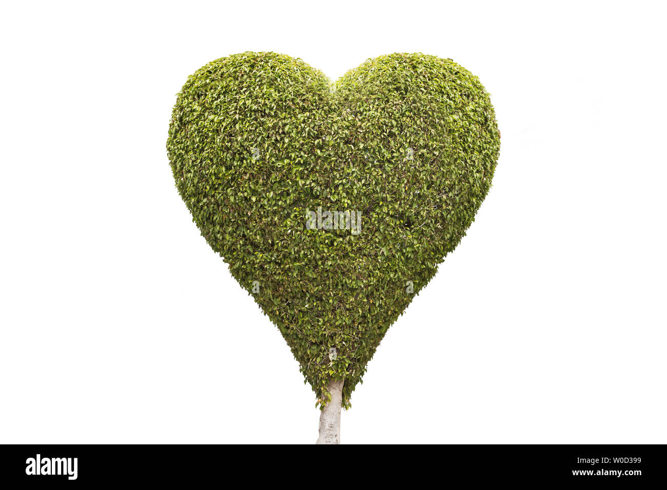 Topiary bush heart hi-res stock photography and images - Alamy