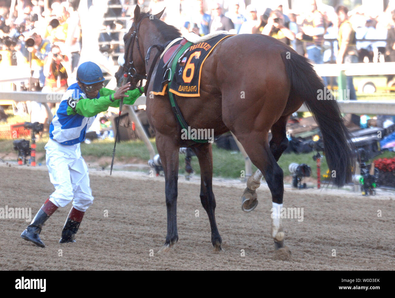 Injured jockey hi-res stock photography and images - Alamy