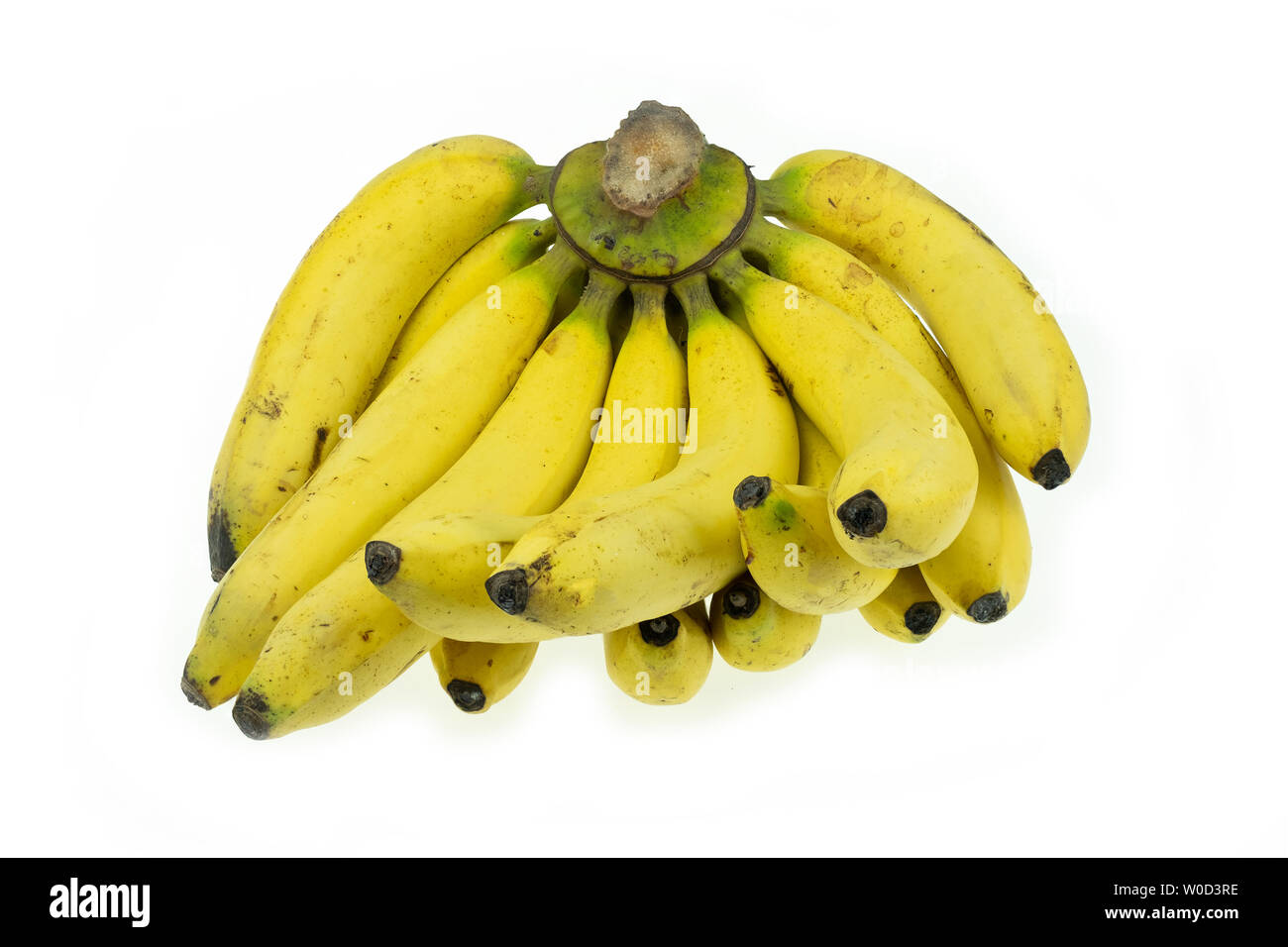 Gros michel hi-res stock photography and images - Alamy
