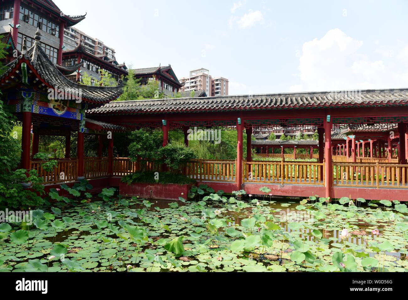 Antique architecture and lotus pavilion lotus Stock Photo - Alamy