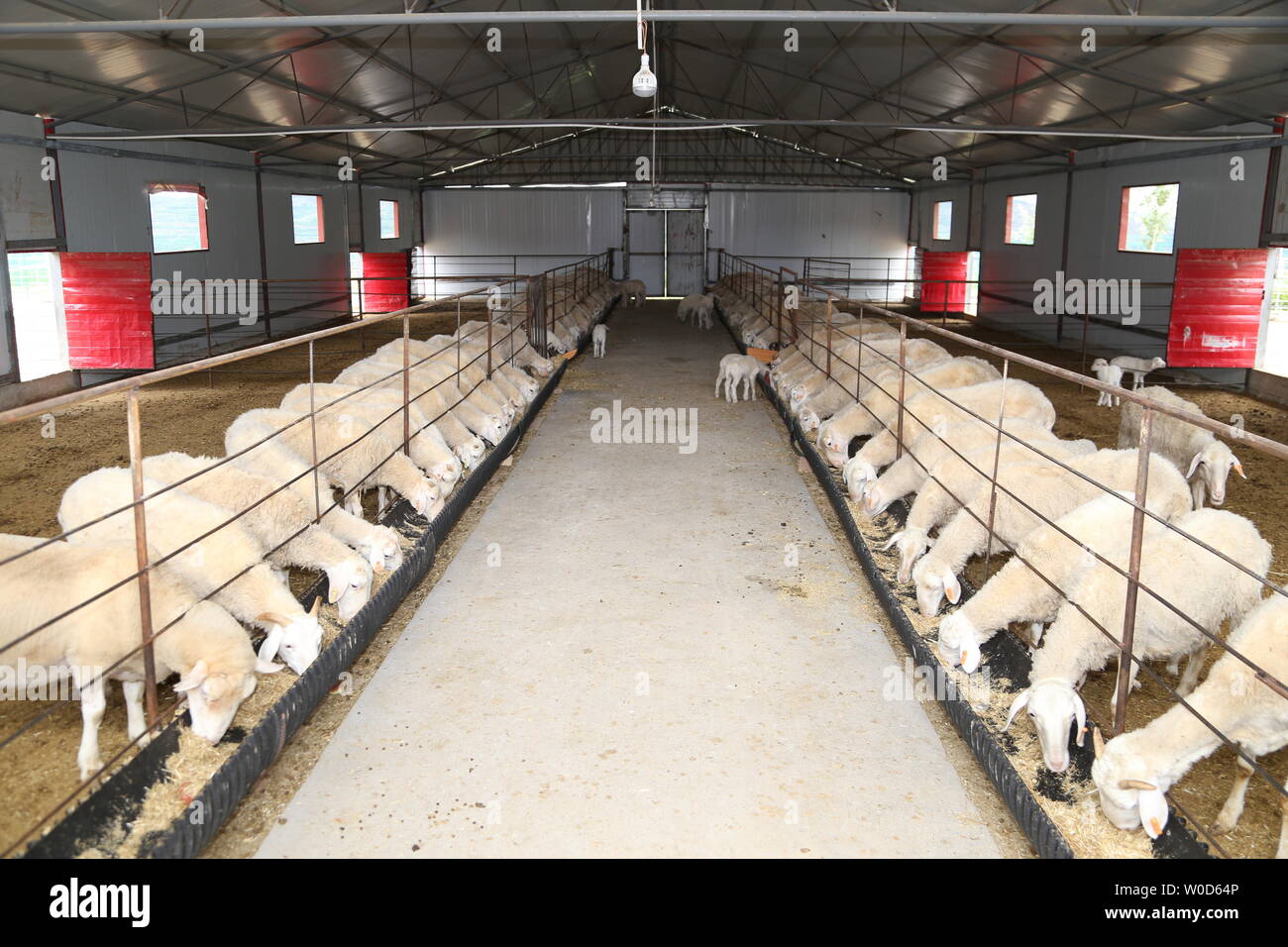 Subway store farm hi-res stock photography and images - Alamy