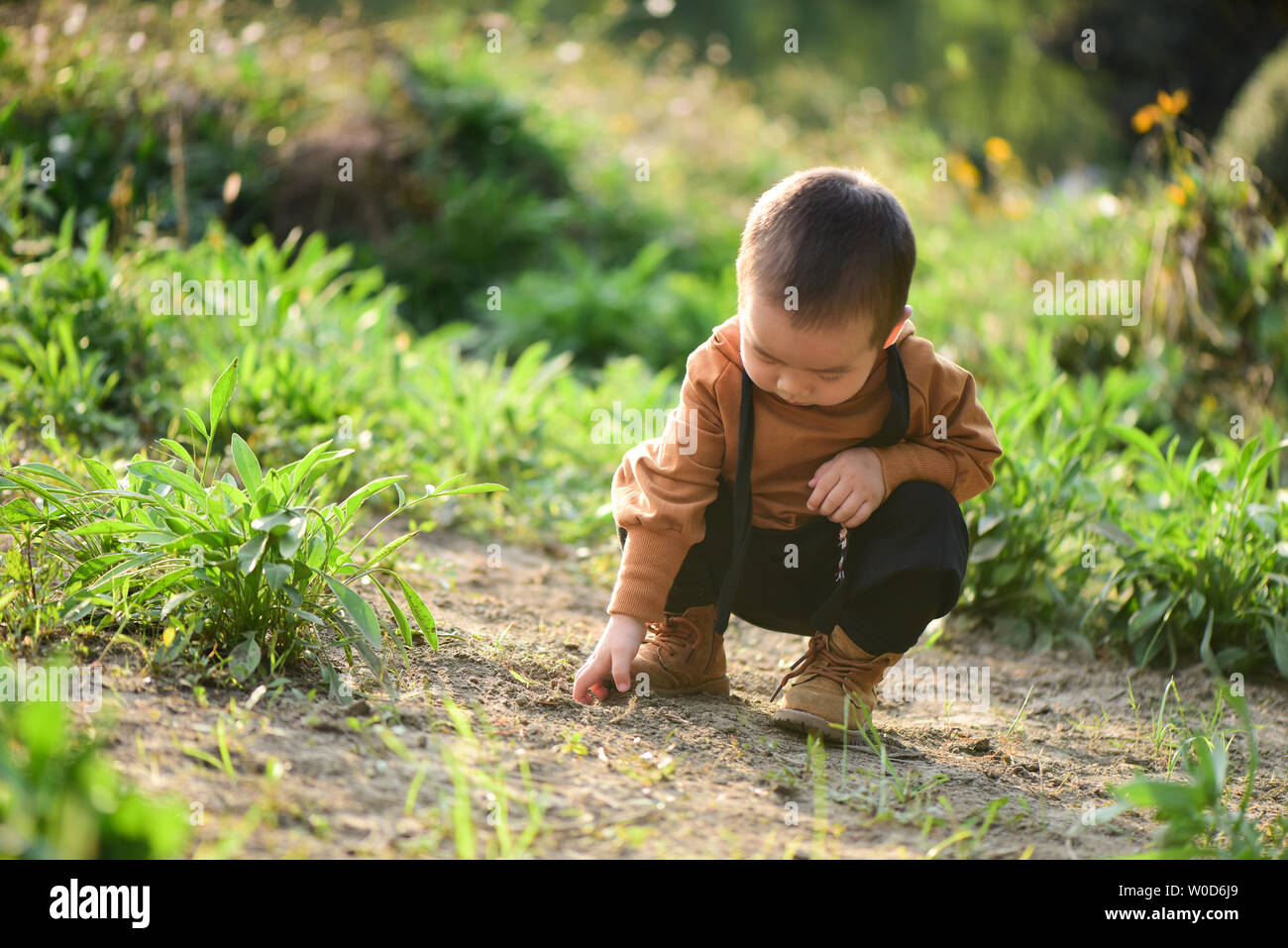Little boy in the bushes Stock Photo - Alamy