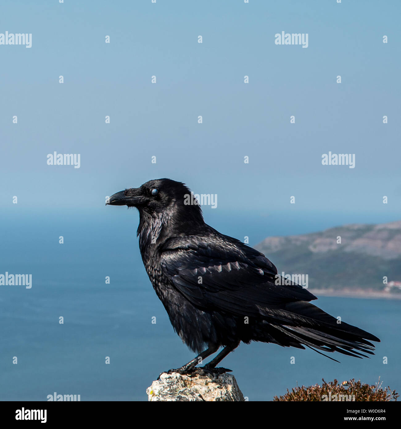 Conwy bay hi-res stock photography and images - Alamy