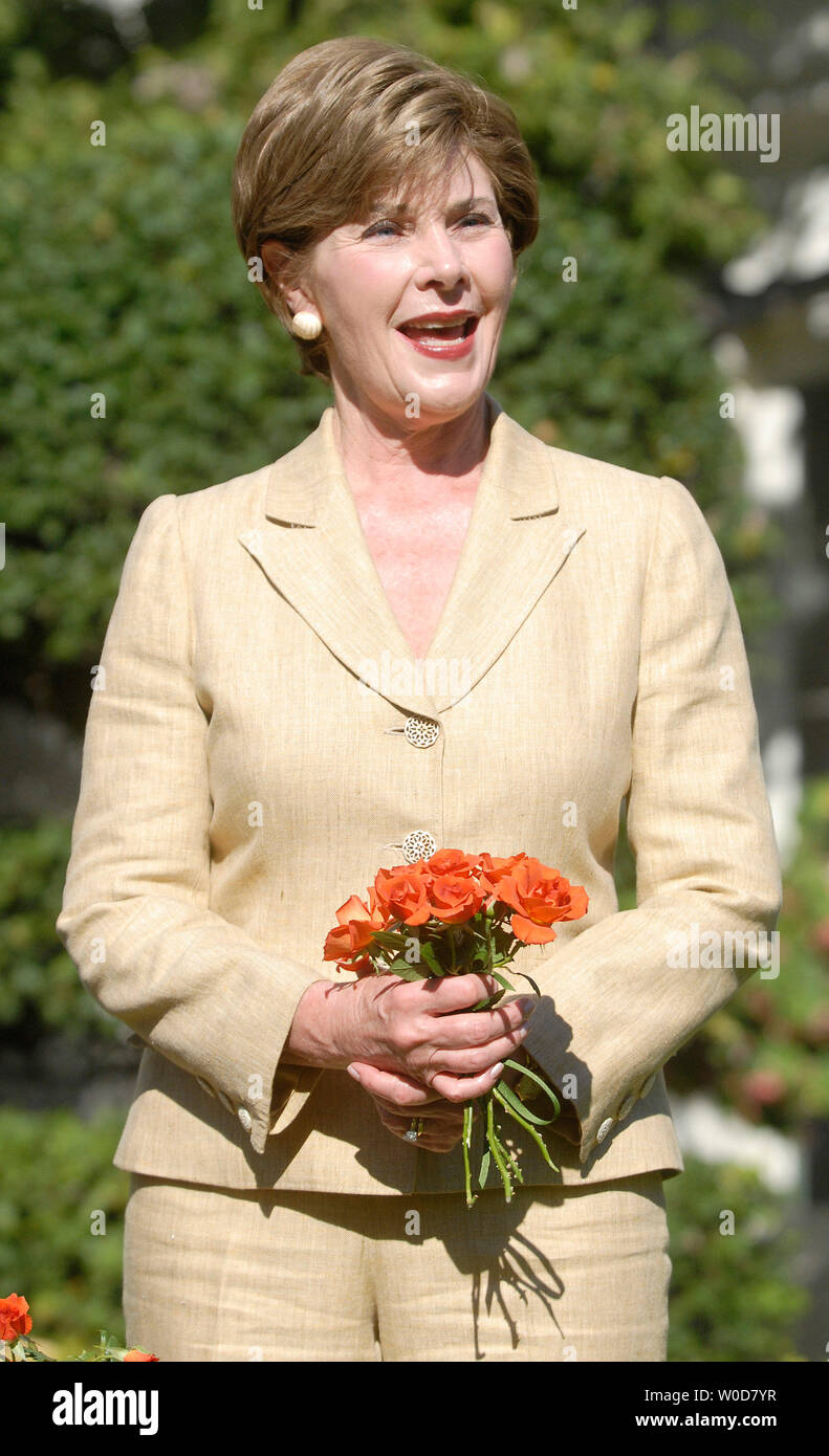 Floribunda rose bush house hi-res stock photography and images - Alamy