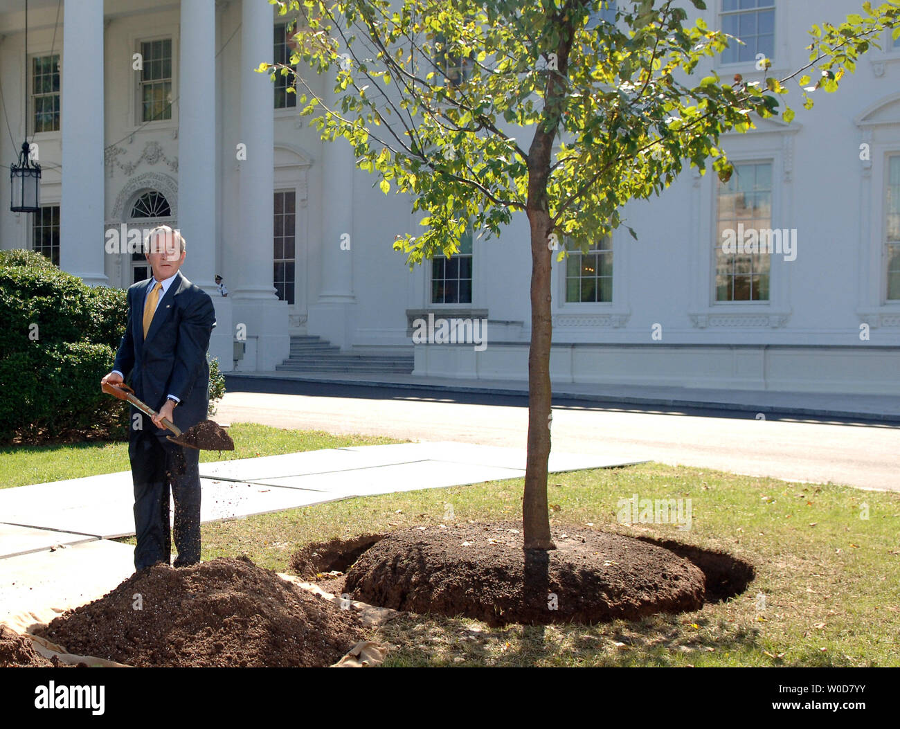 President George W. Bush participates in an elm tree planting on The ...