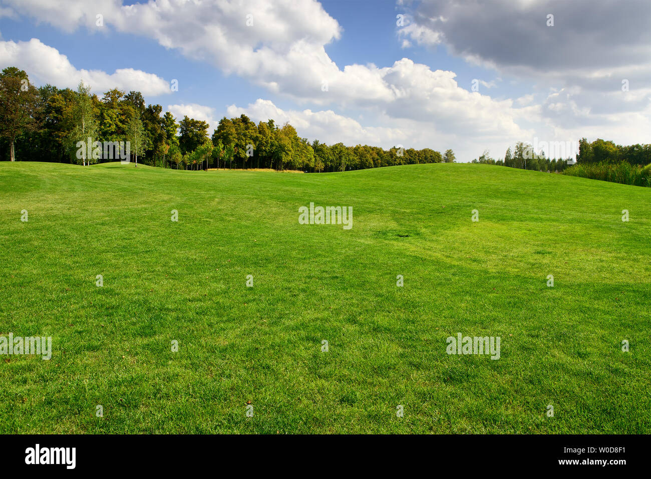 Grass golf hi-res stock photography and images - Alamy