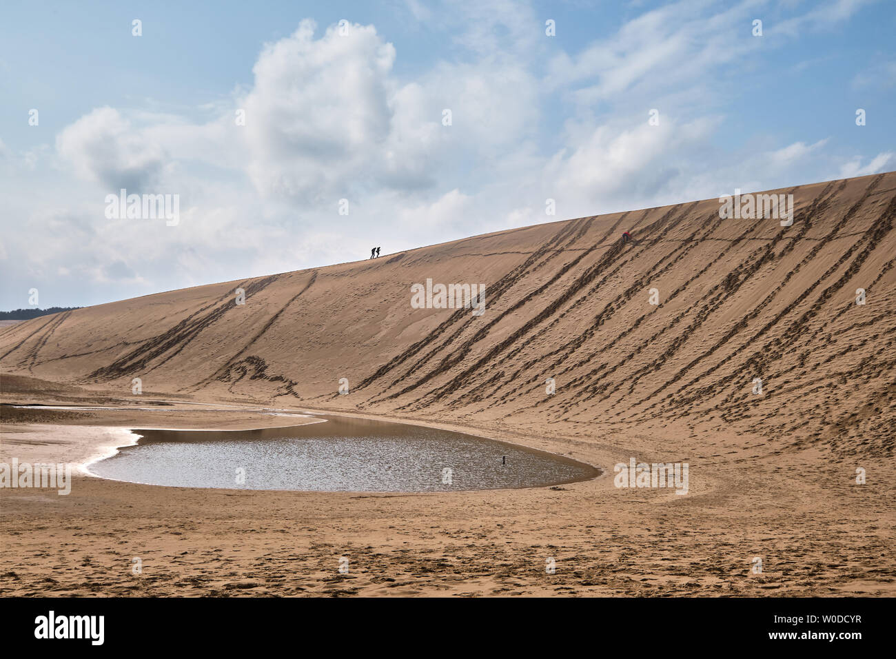 Sand dunes at Tottori, Japan. It's the most famous tourist attraction ...
