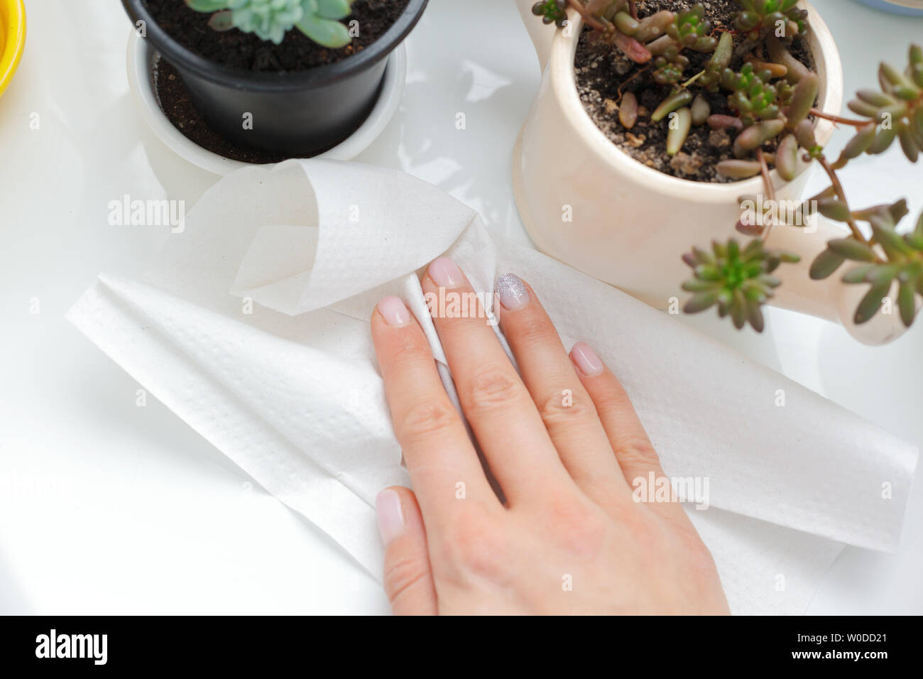 Hand cleaning with Paper Towel Stock Photo - Alamy