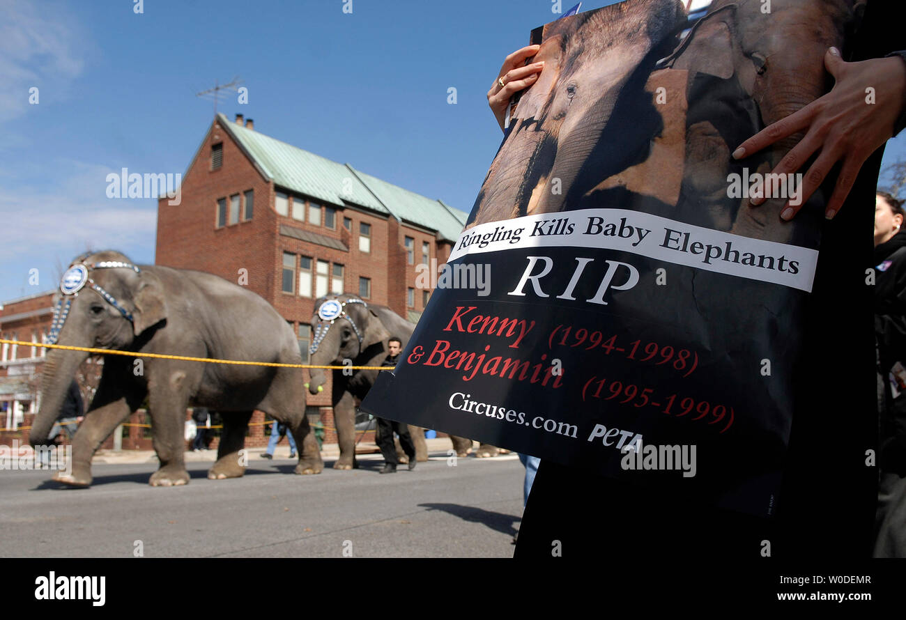 Peta protests hi-res stock photography and images - Alamy