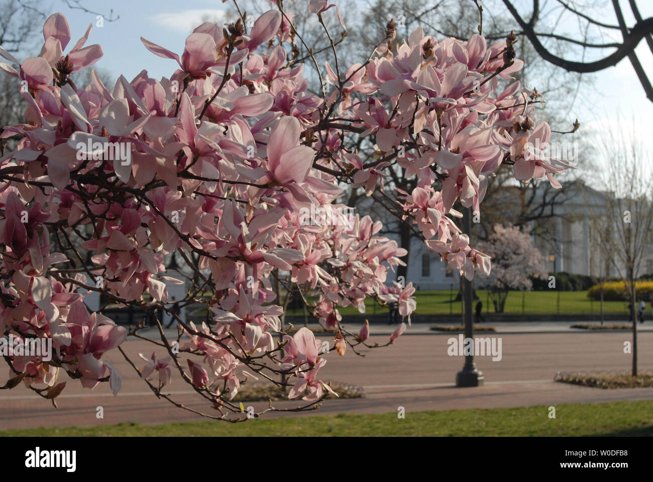 Viscountess chinda hi-res stock photography and images - Alamy