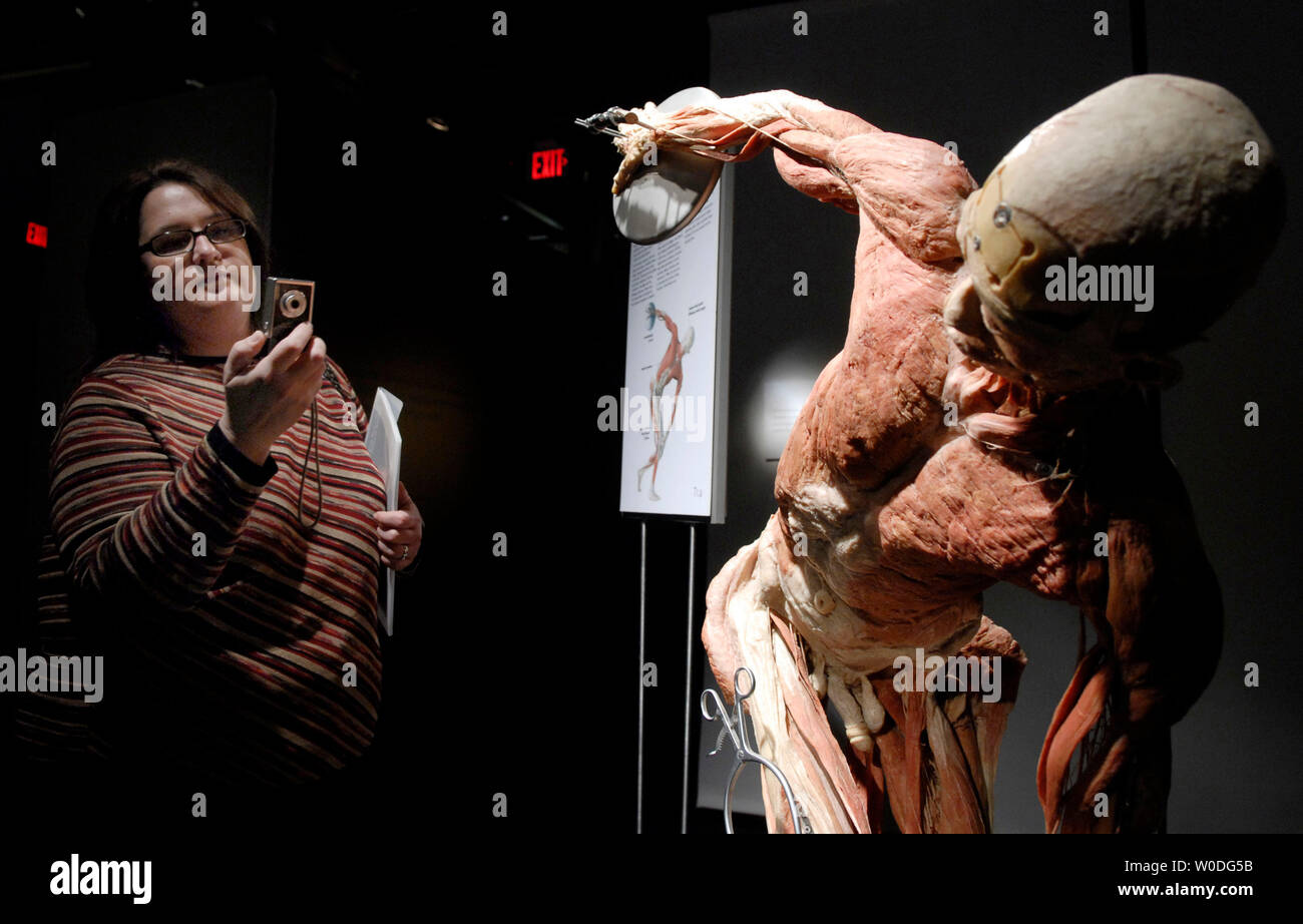 Showcases photographs hi-res stock photography and images - Alamy