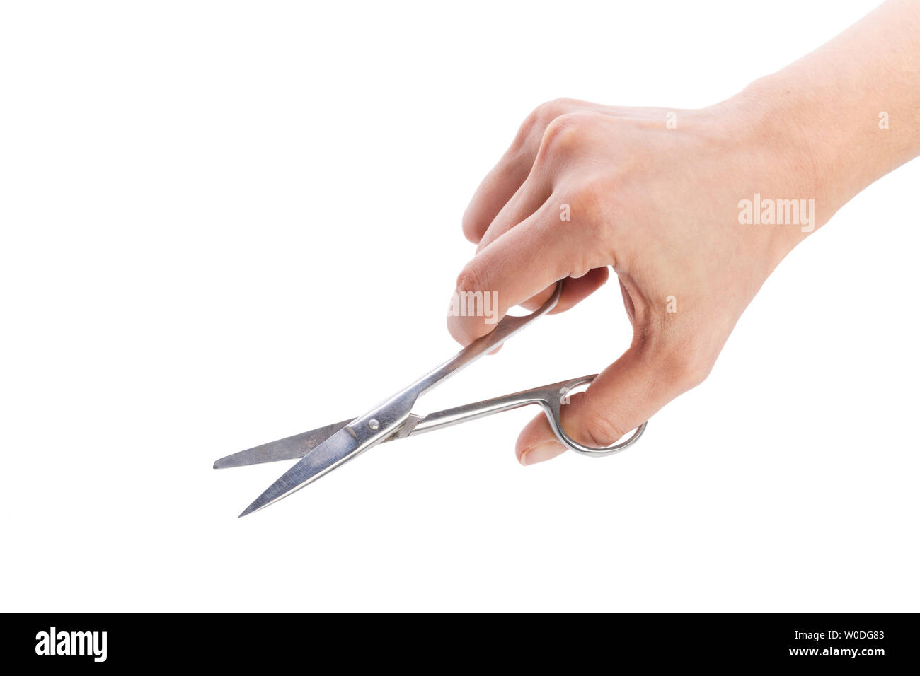 Female hand holding scissors, isolated on white background Stock Photo ...