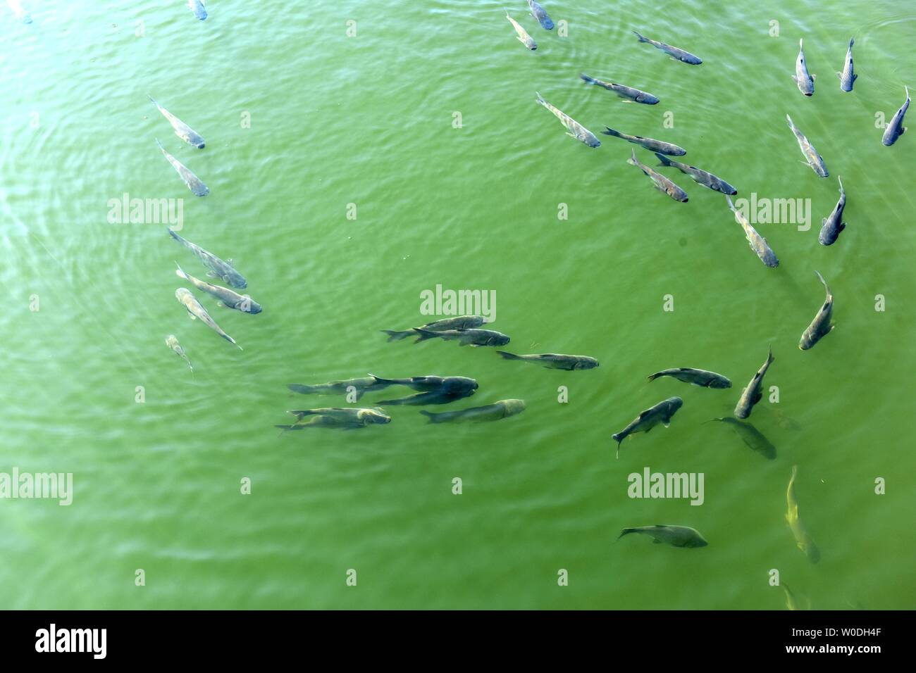 Dam mural painting hi-res stock photography and images - Alamy