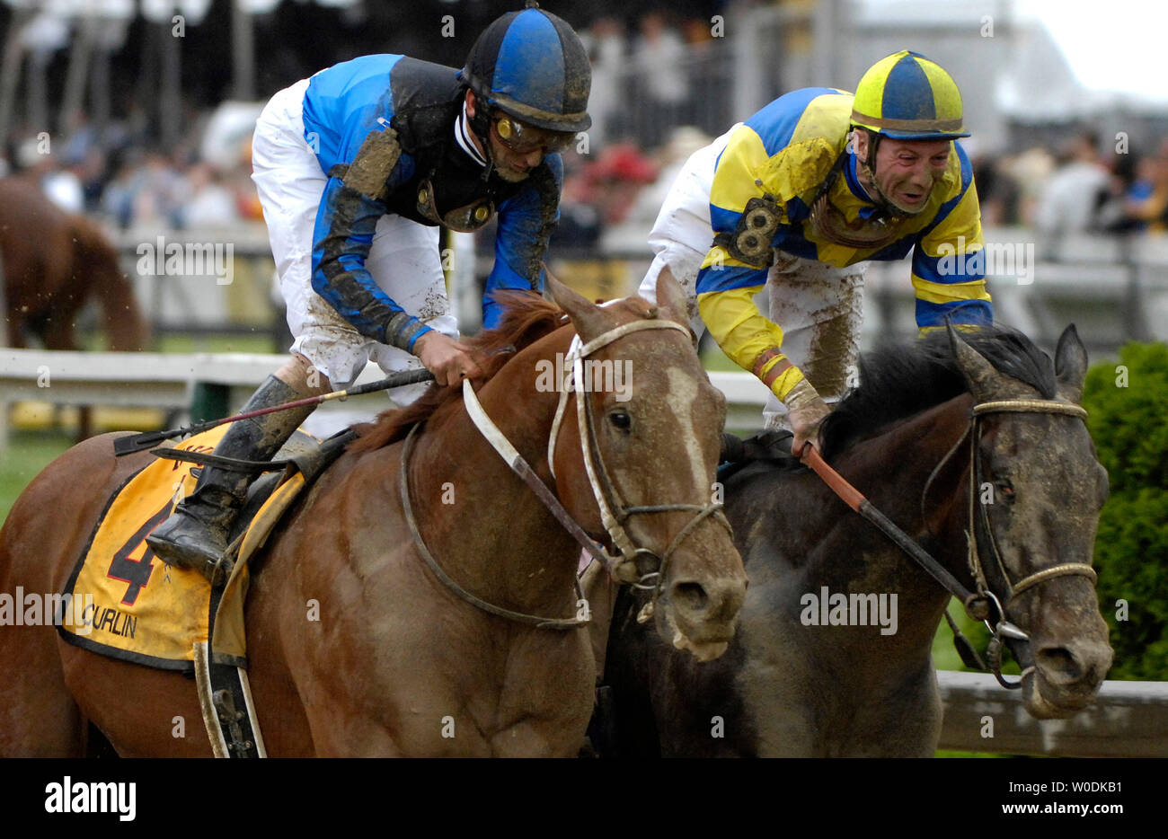 Curlin High Resolution Stock Photography and Images - Alamy