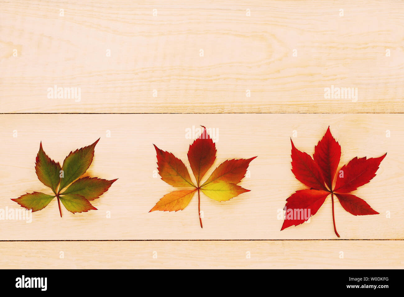 Coming for fall color hi-res stock photography and images - Alamy