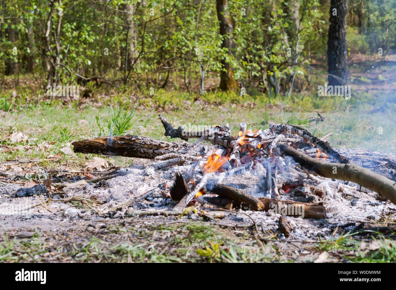 Campfire remains hi-res stock photography and images - Alamy