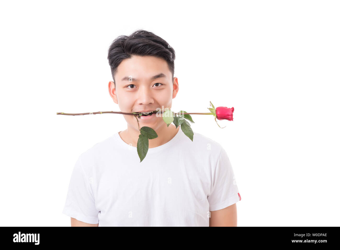 A handsome man bites a rose Stock Photo - Alamy