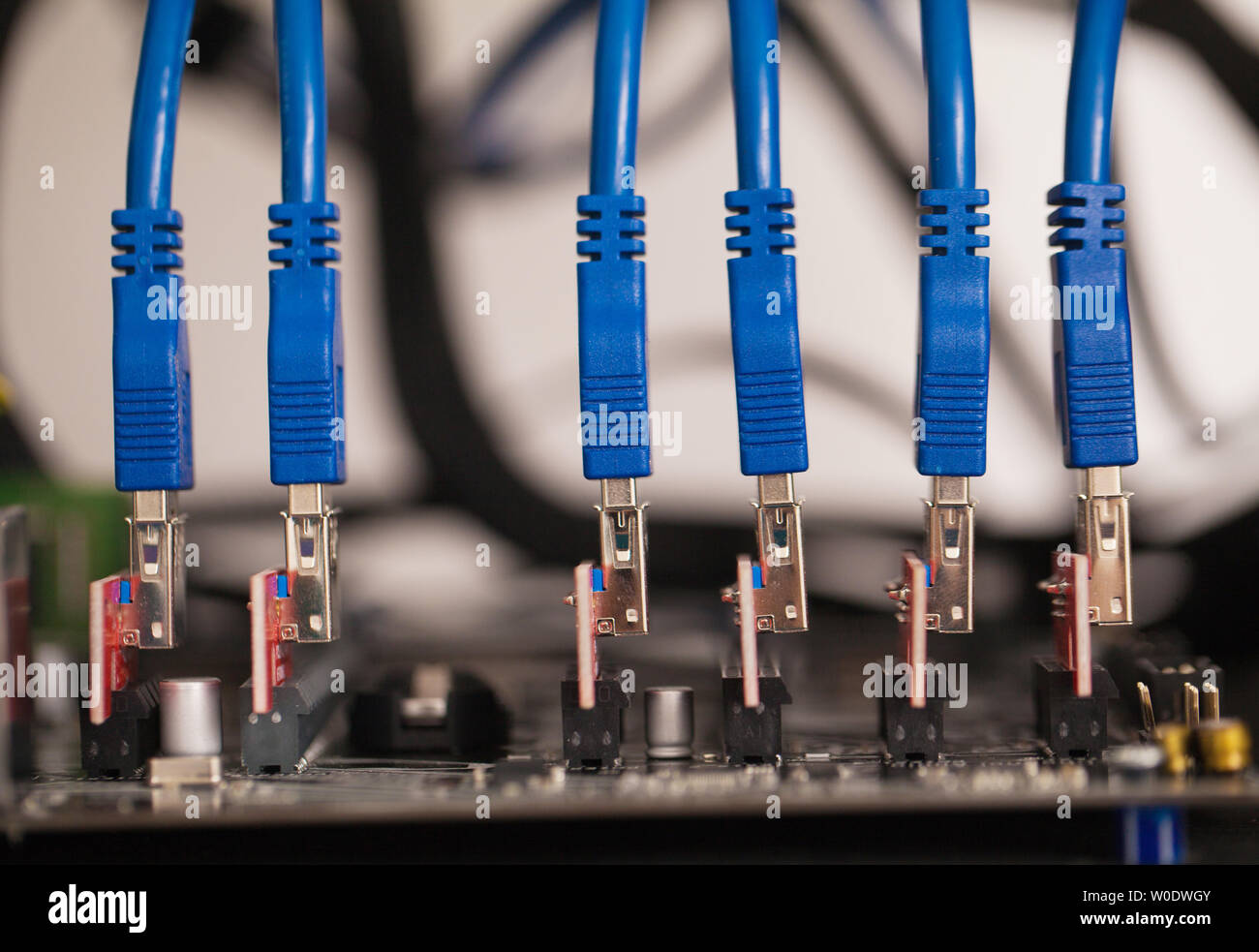 Cryptocurrency background mining rig , Close up of array of GPUs for ...