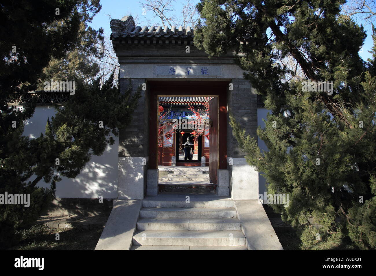 Nine of the Great View Garden of A Dream of Red Mansions: [Xiao Cui'an ...