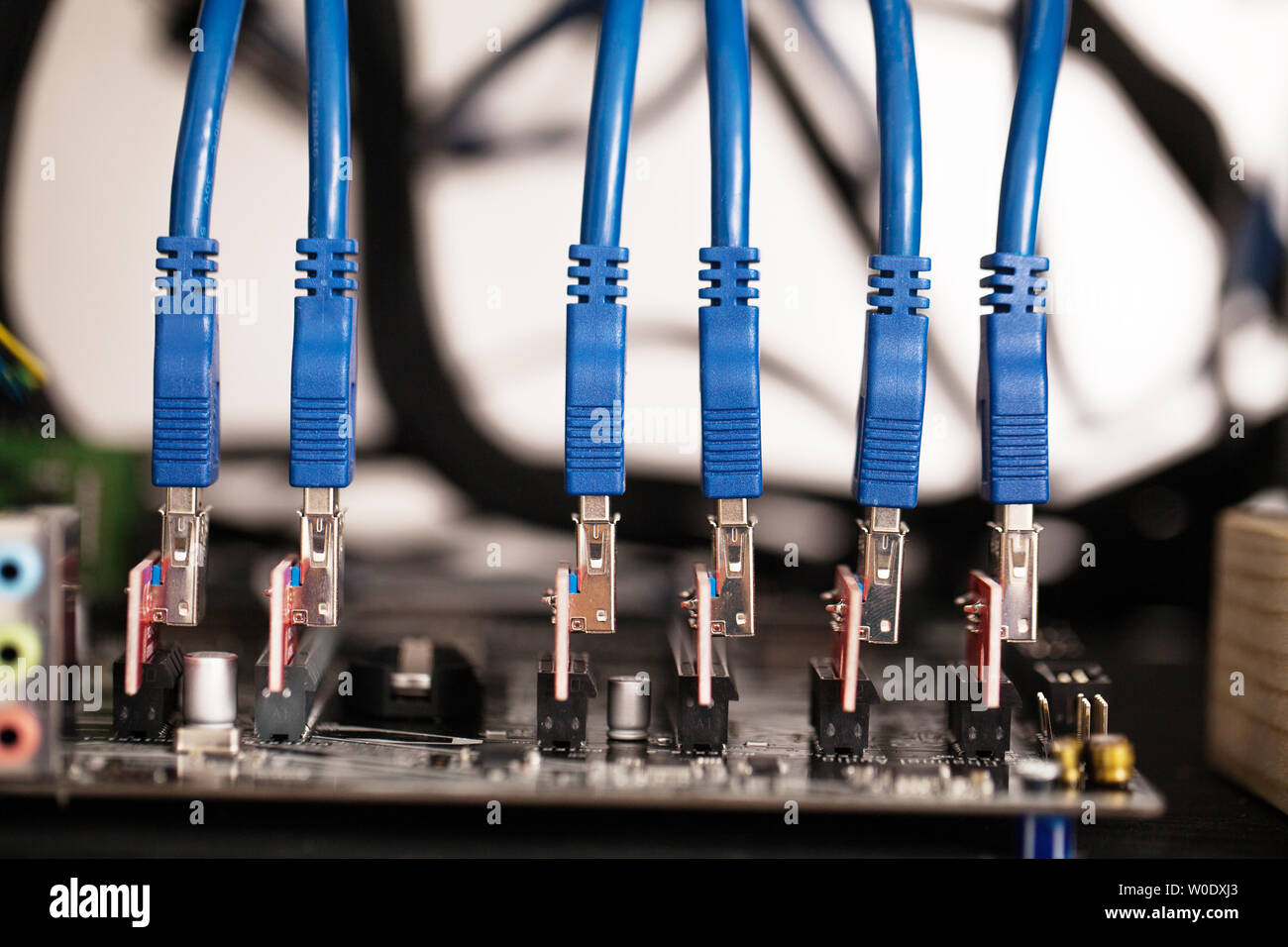 Cryptocurrency background mining rig , Close up of array of GPUs for ...