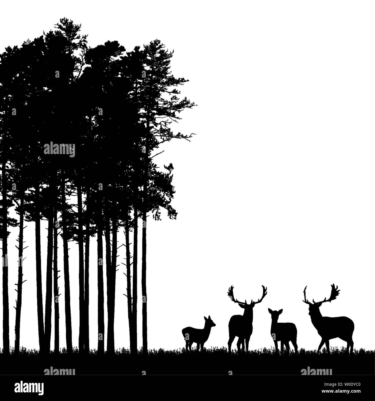 Deer and tree trunk Black and White Stock Photos & Images - Alamy